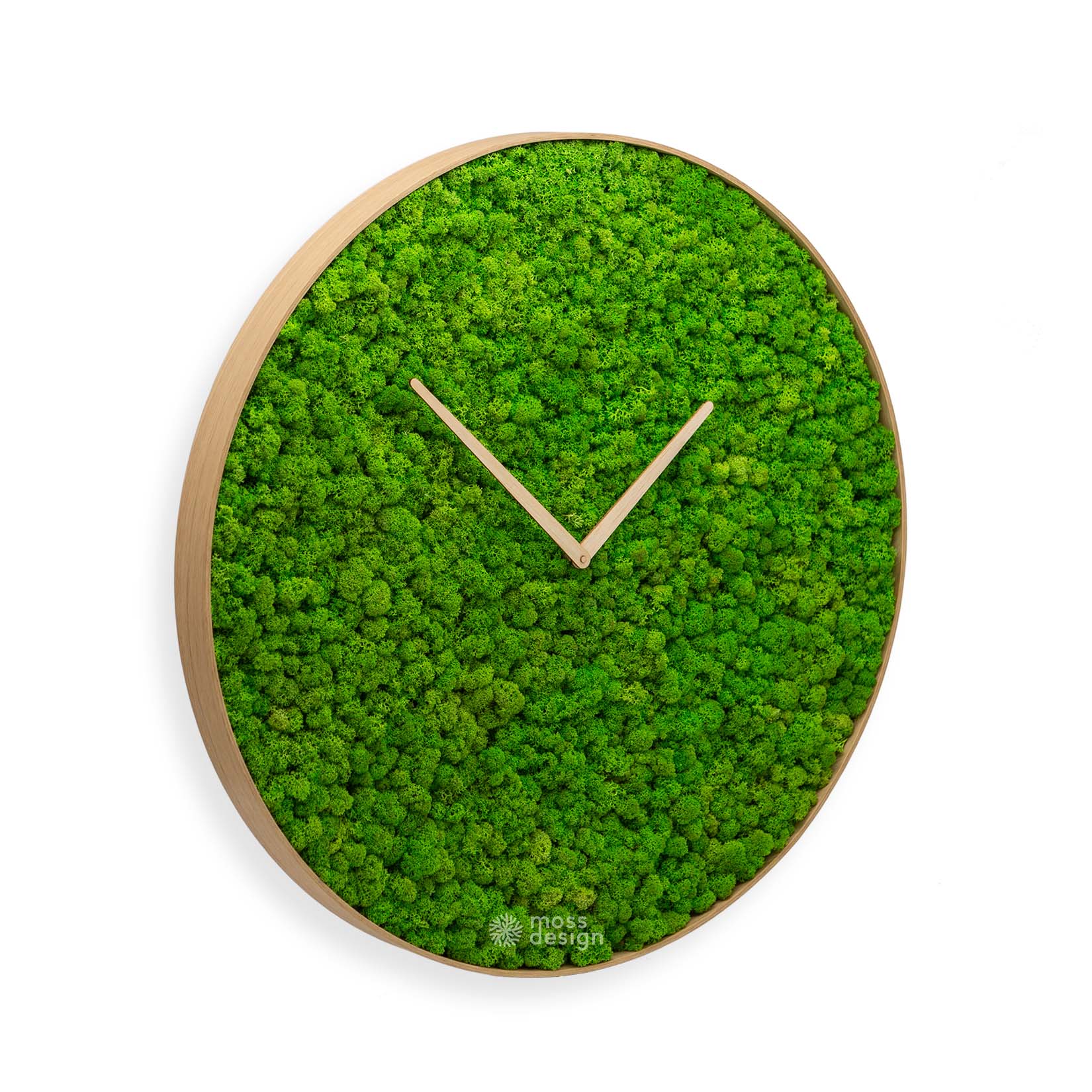 Mechové hodiny - lesní mech