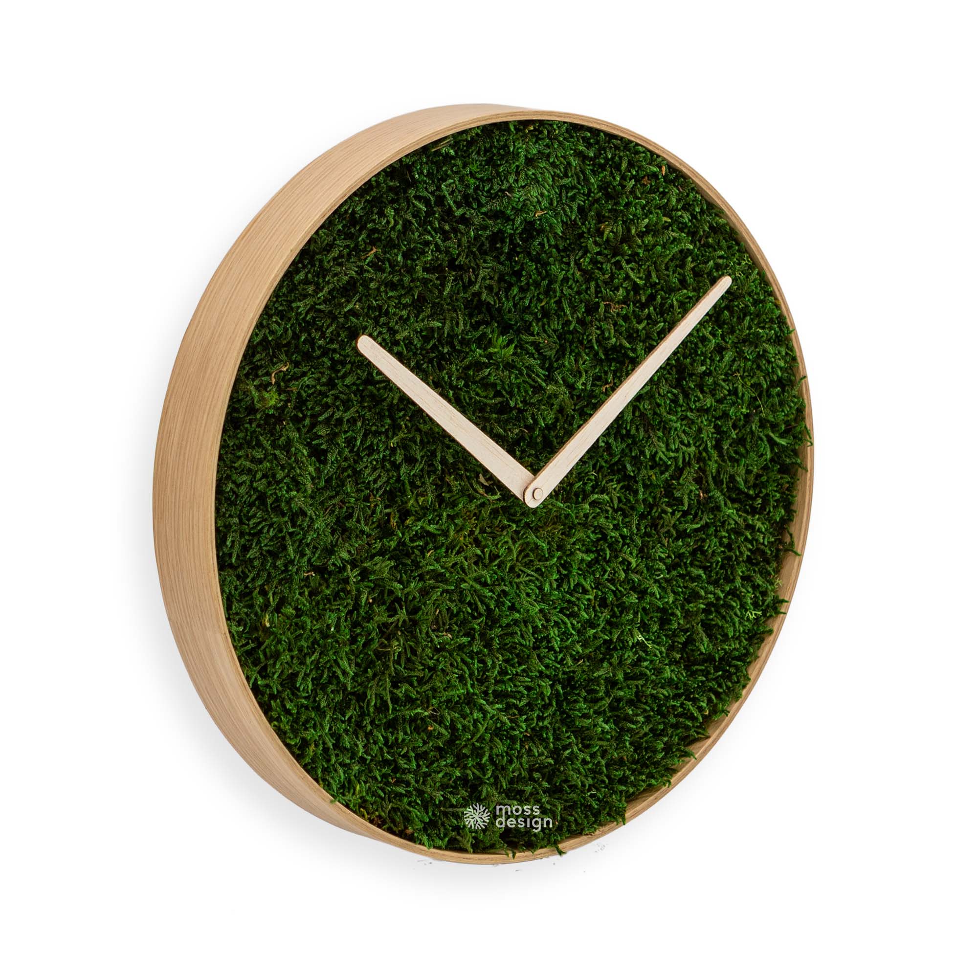 Mechové hodiny - lesní mech