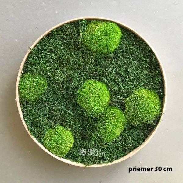 Mechový kruhový obraz -Bolmoss a lesní mech | Mossdesign