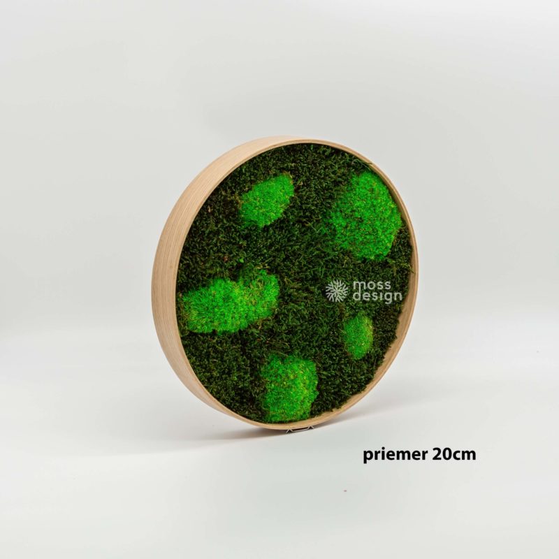 Mechový kruhový obraz -Bolmoss a lesní mech | Mossdesign
