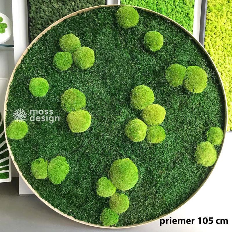 Mechový kruhový obraz -Bolmoss a lesní mech | Mossdesign