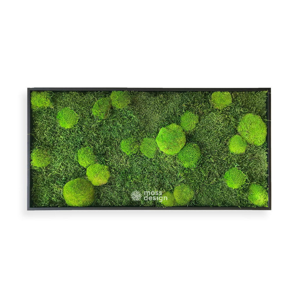 Mechový obraz - kopcovitý a lesní mech | Mossdesign