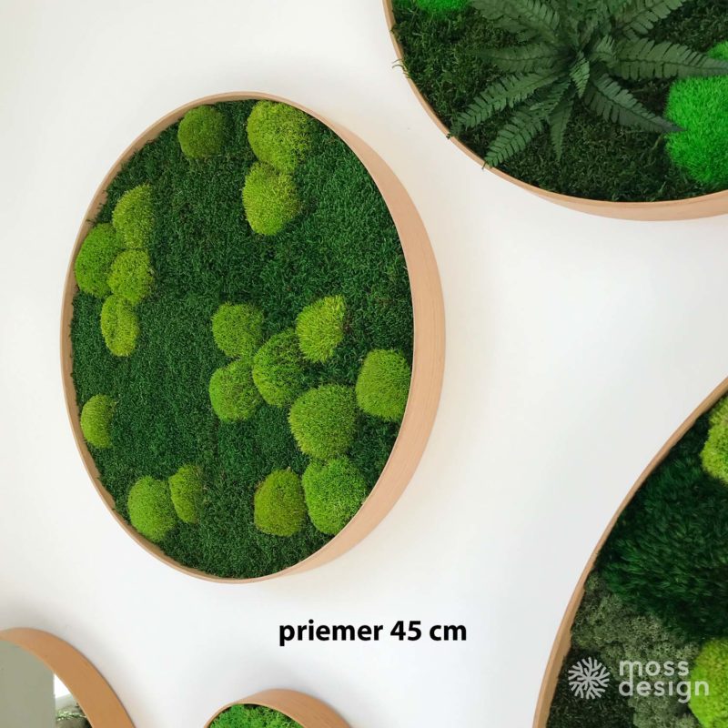Mechový kruhový obraz -Bolmoss a lesní mech | Mossdesign