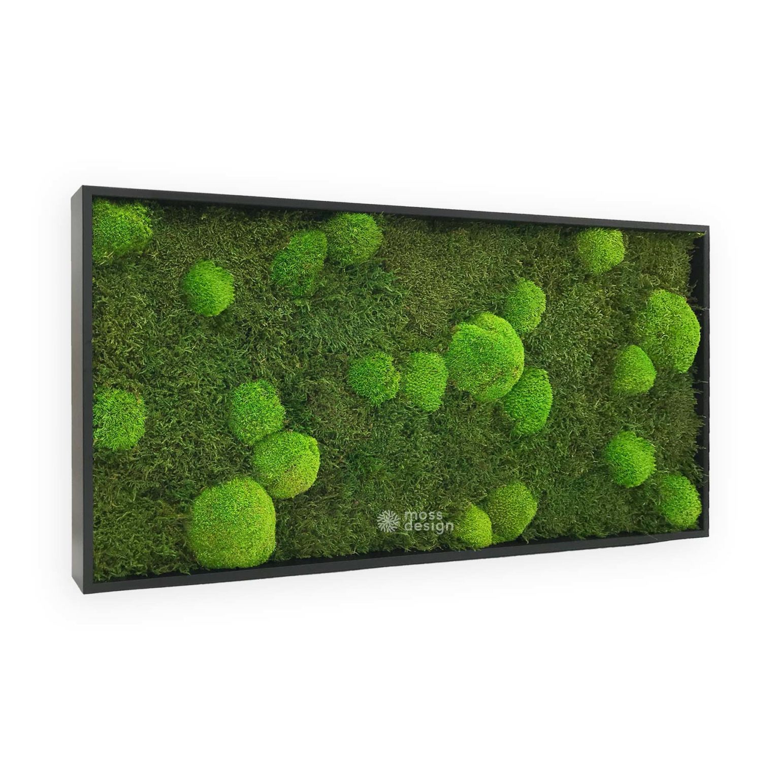 Mechový obraz - kopcovitý a lesní mech | Mossdesign