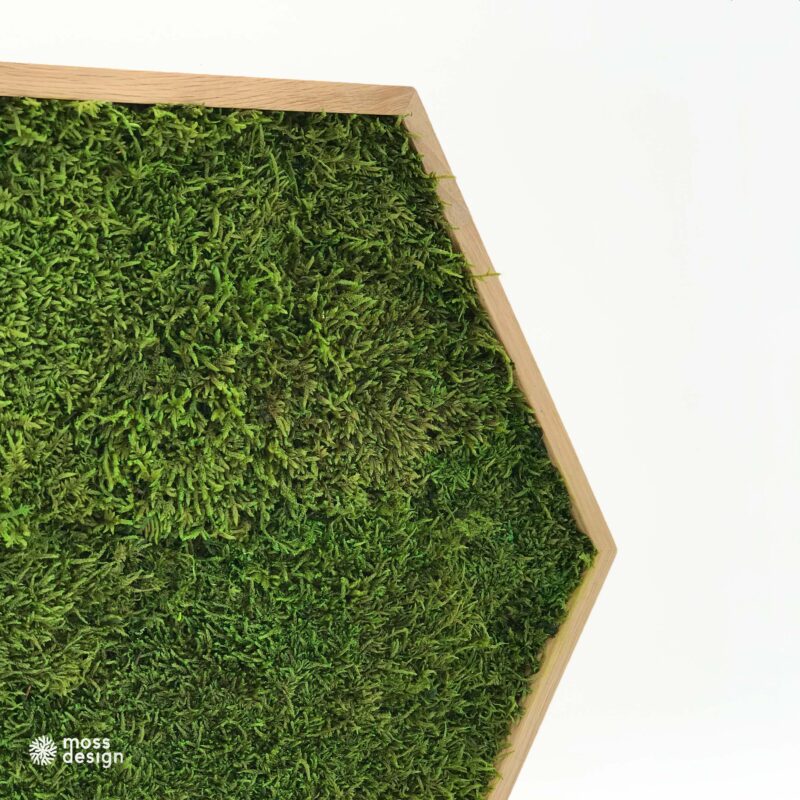 Mechový šestiúhelník - lesní mech | Mossdesign