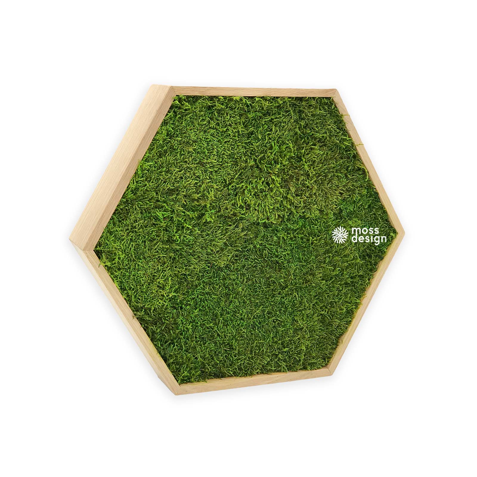 Mechový šestiúhelník - lesní mech | Mossdesign