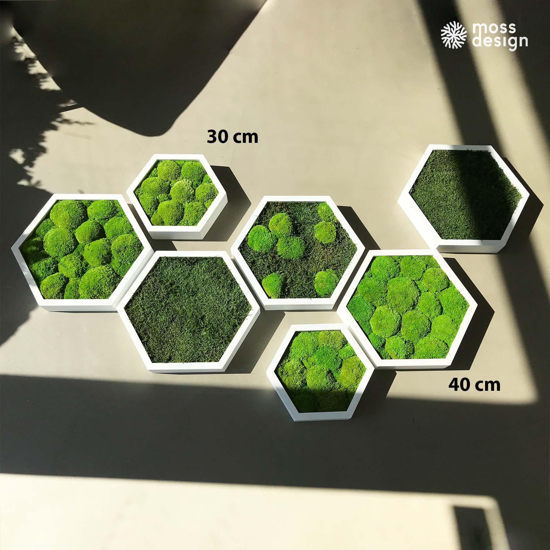 Mechový šestiúhelník - lesní mech | Mossdesign