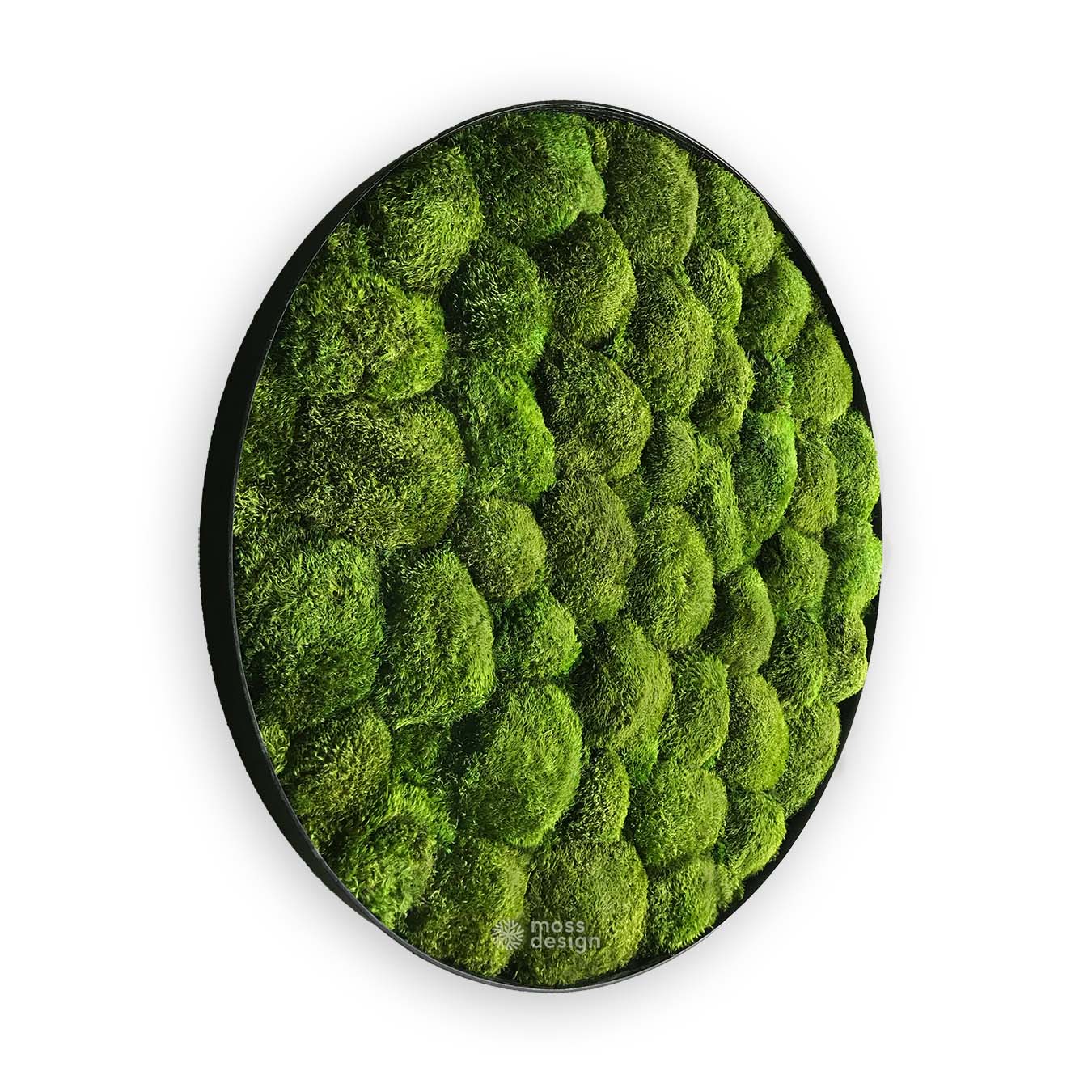 Kruhový mechový obraz - sibiřský mech