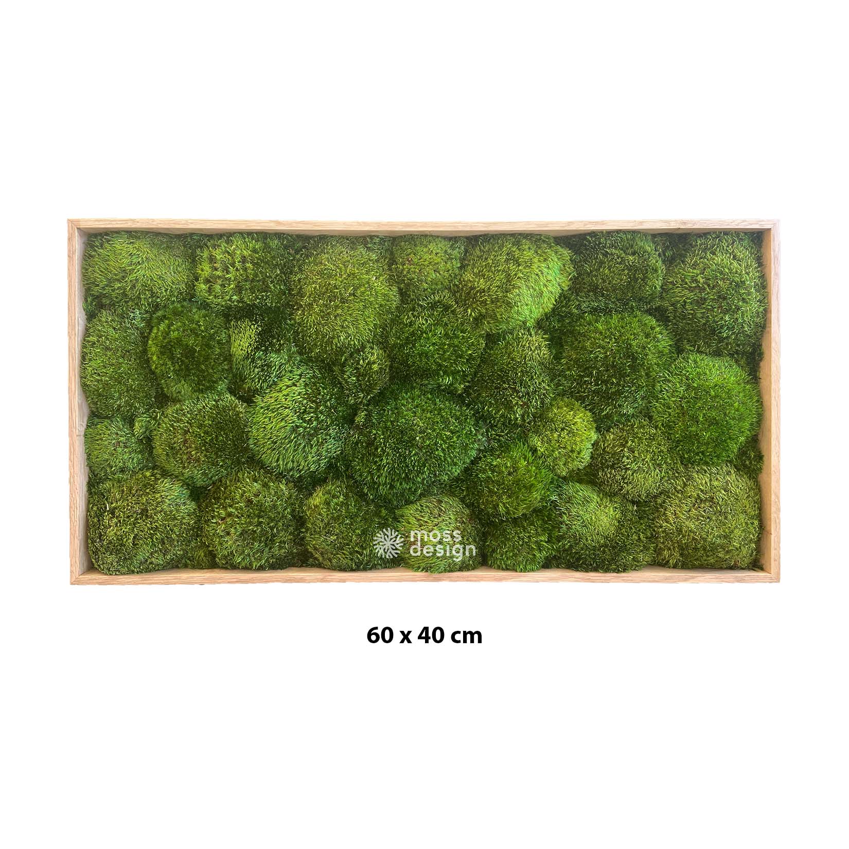 Mechový obraz - sibiřský mech | Mossdesign