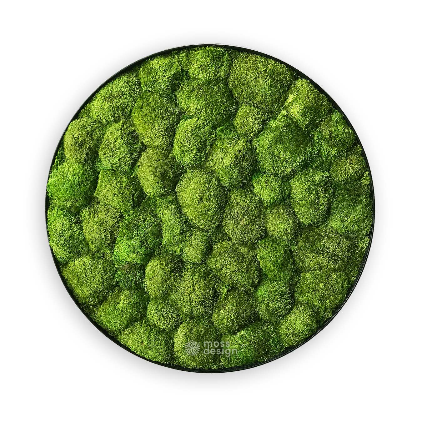 Kruhový mechový obraz - sibiřský mech