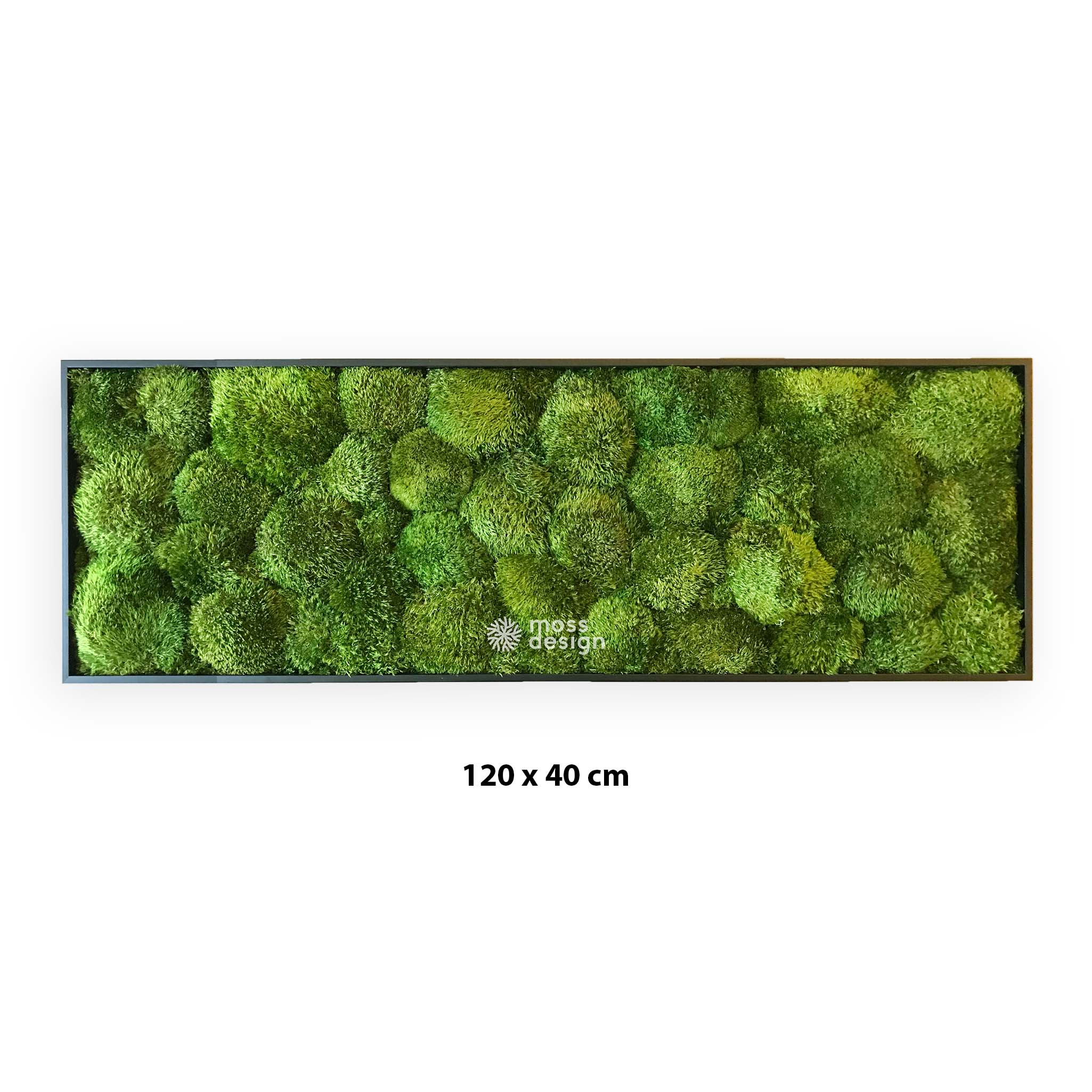 Mechový obraz - sibiřský mech | Mossdesign