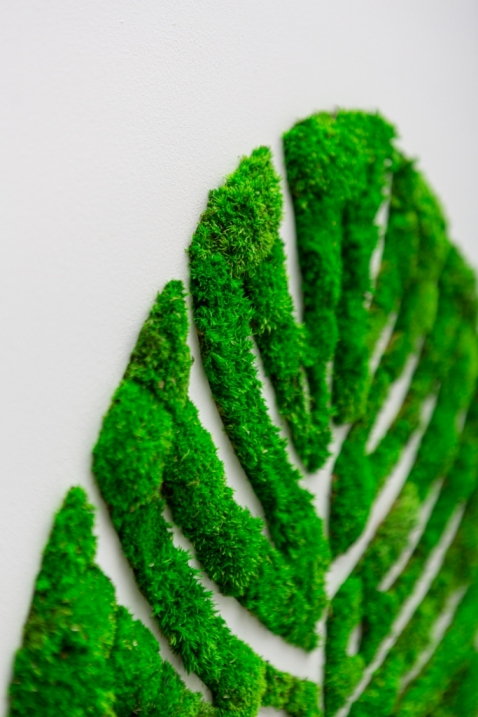 Mechový obraz MONSTERA | Mossdesign