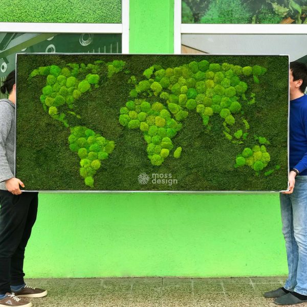 Mechová mapa světa - kopcovitý a lesní mech | Mossdesign