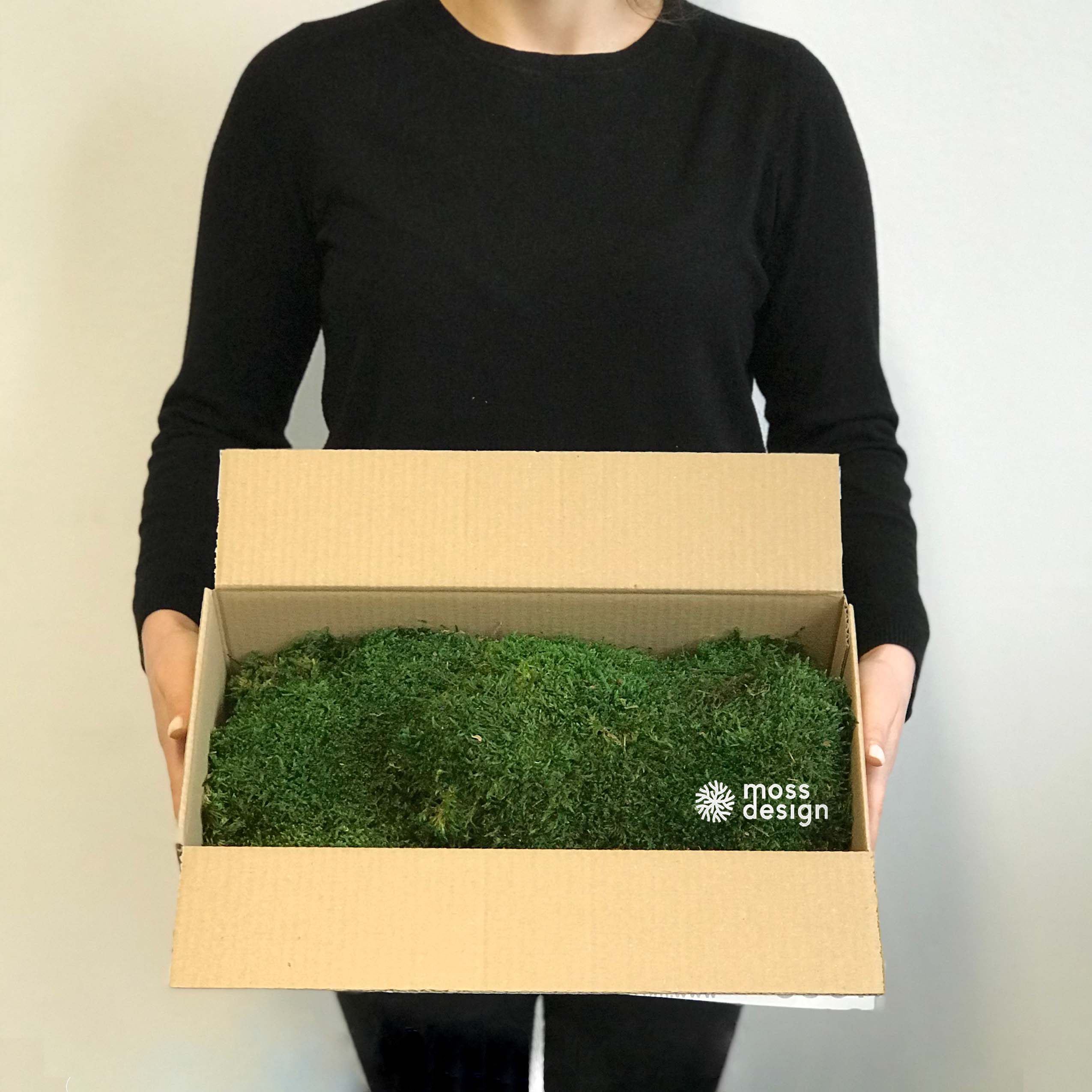 Stabilizovaný lesní mech Premium – 500g | Mossdesign
