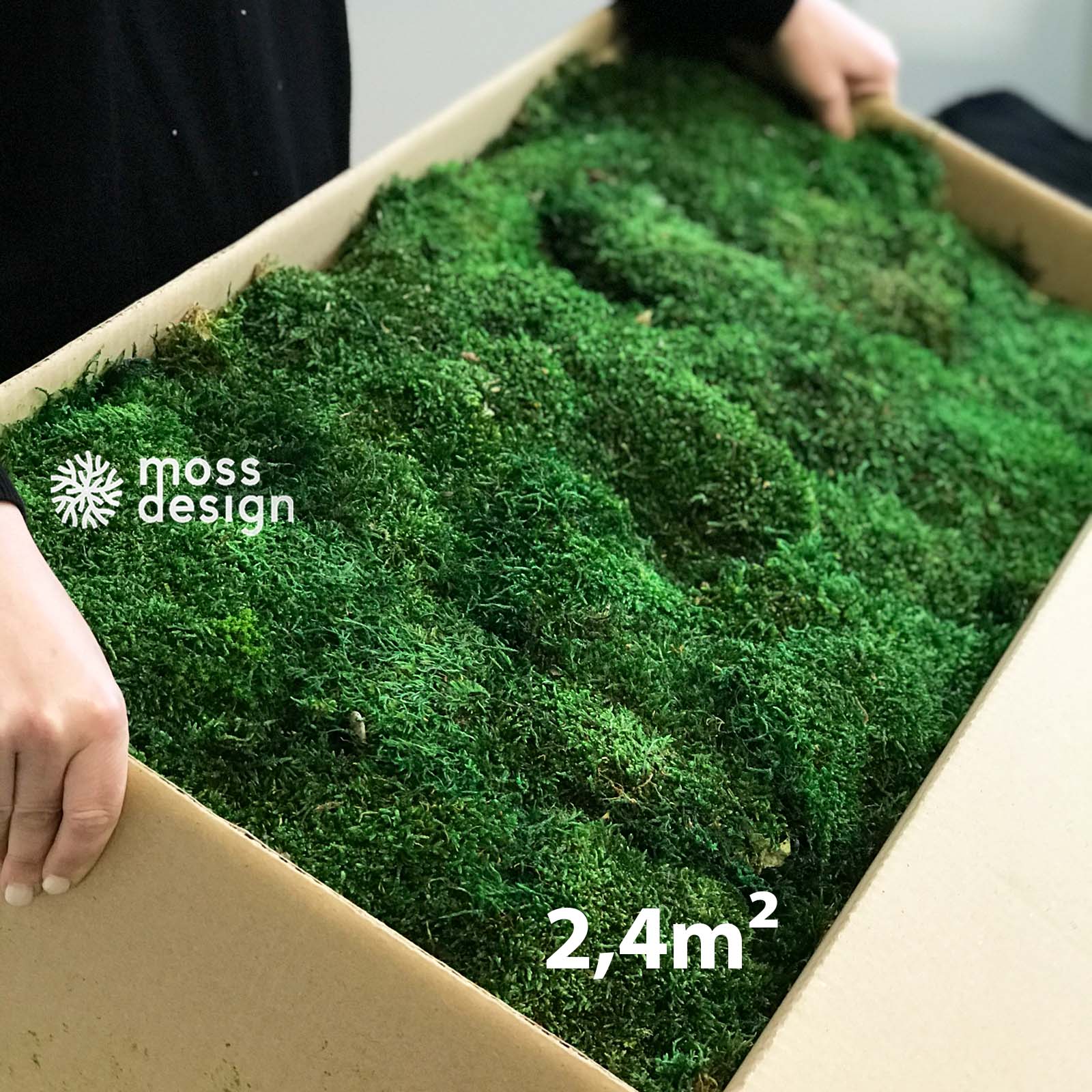 Stabilizovaný lesní mech Premium – 3kg | Mossdesign