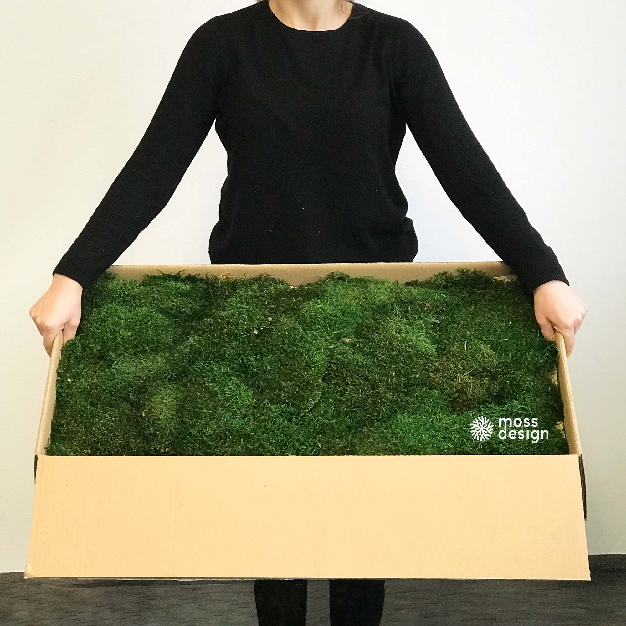 Stabilizovaný lesní mech Premium – 3kg | Mossdesign