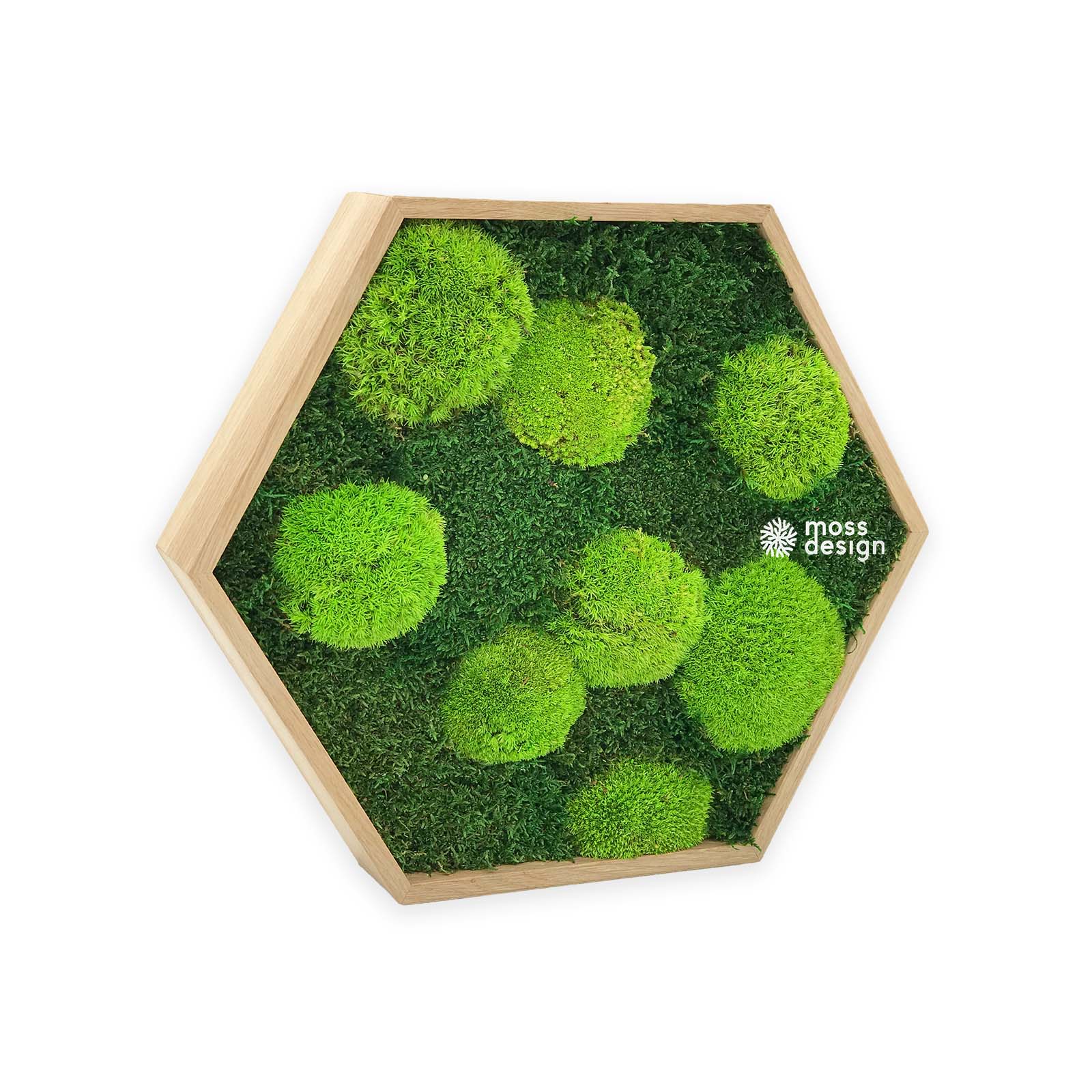 Dárkový SET Vyrob si sám šestiúhelník kopcovitý a lesní mech