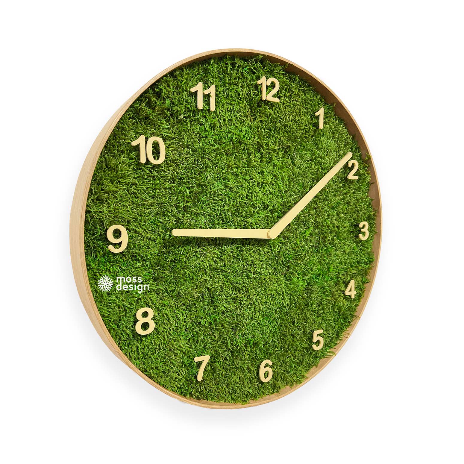Mechové hodiny - lesní mech - ciferník | Mossdesign