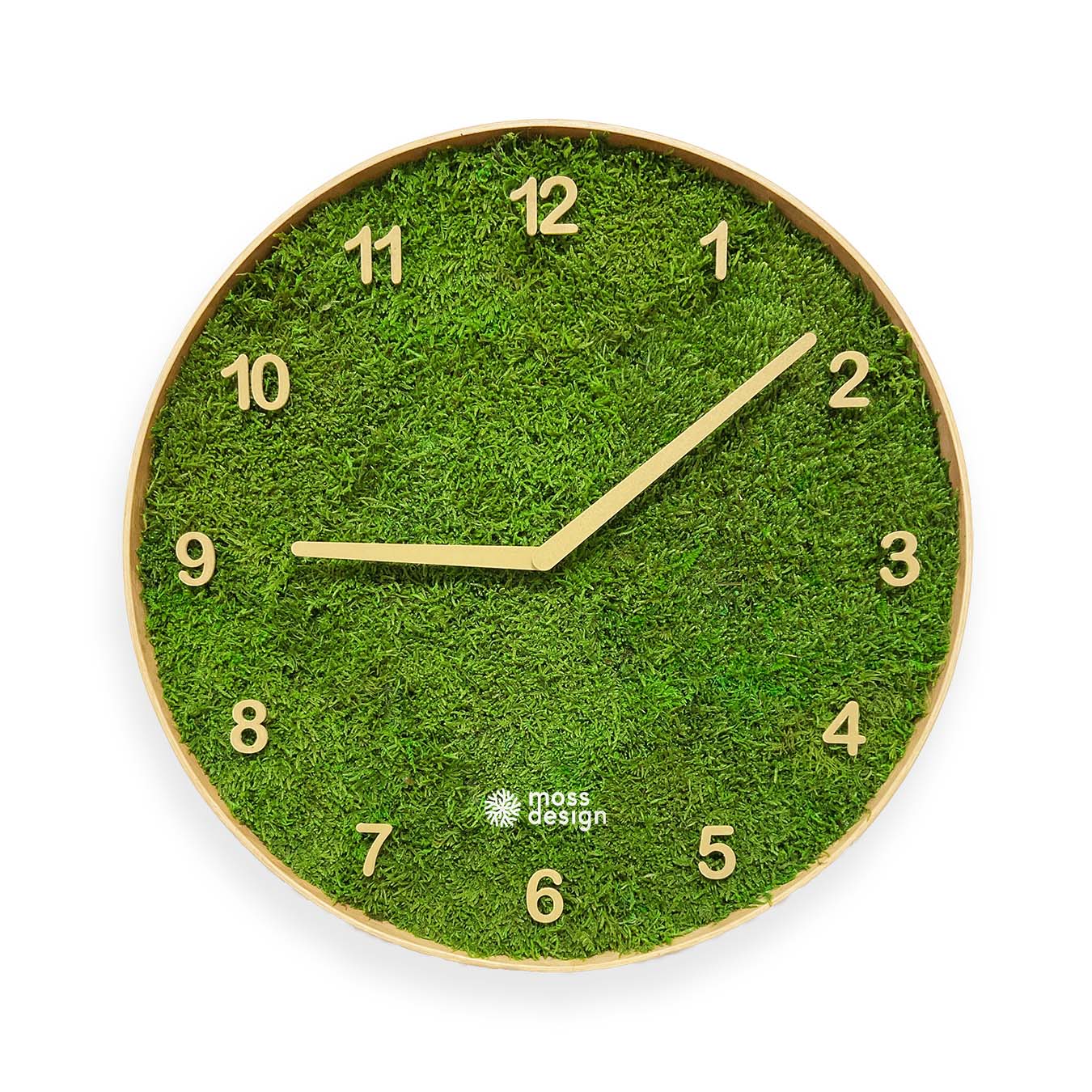 Mechové hodiny - lesní mech - ciferník | Mossdesign